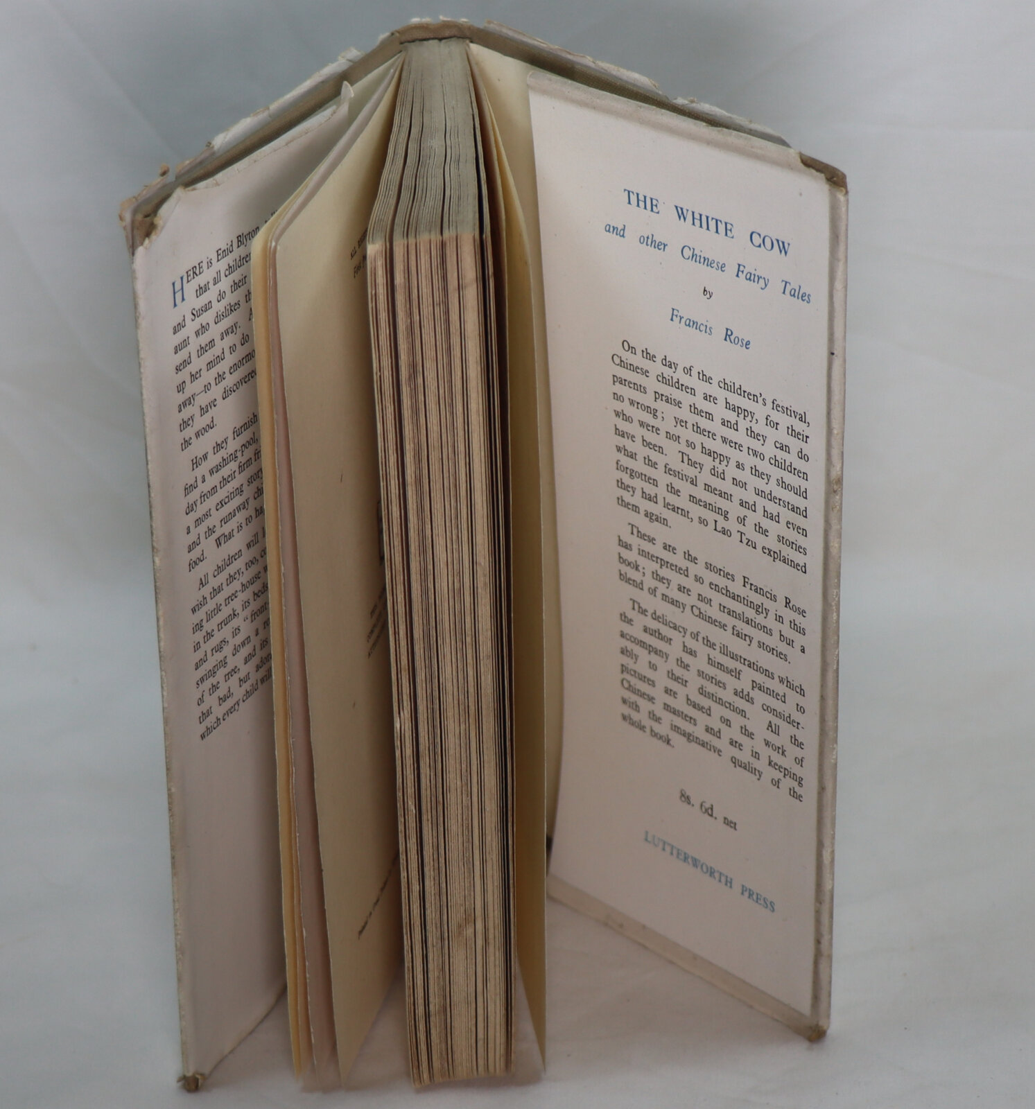 Hollow Tree House. Enid Blyton. - Frost Books and Artifacts Limited