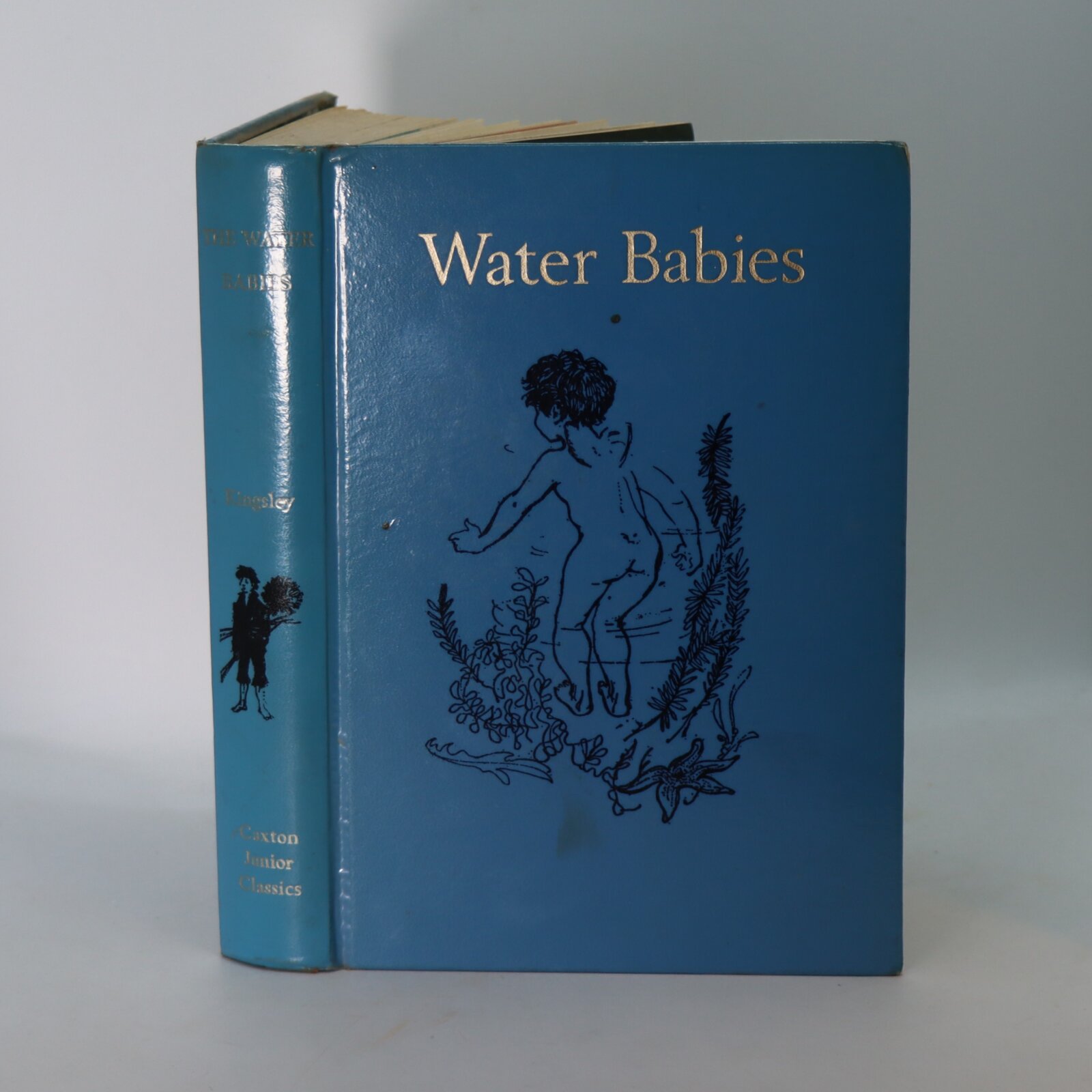 Water Babies. - Frost Books and Artifacts Limited