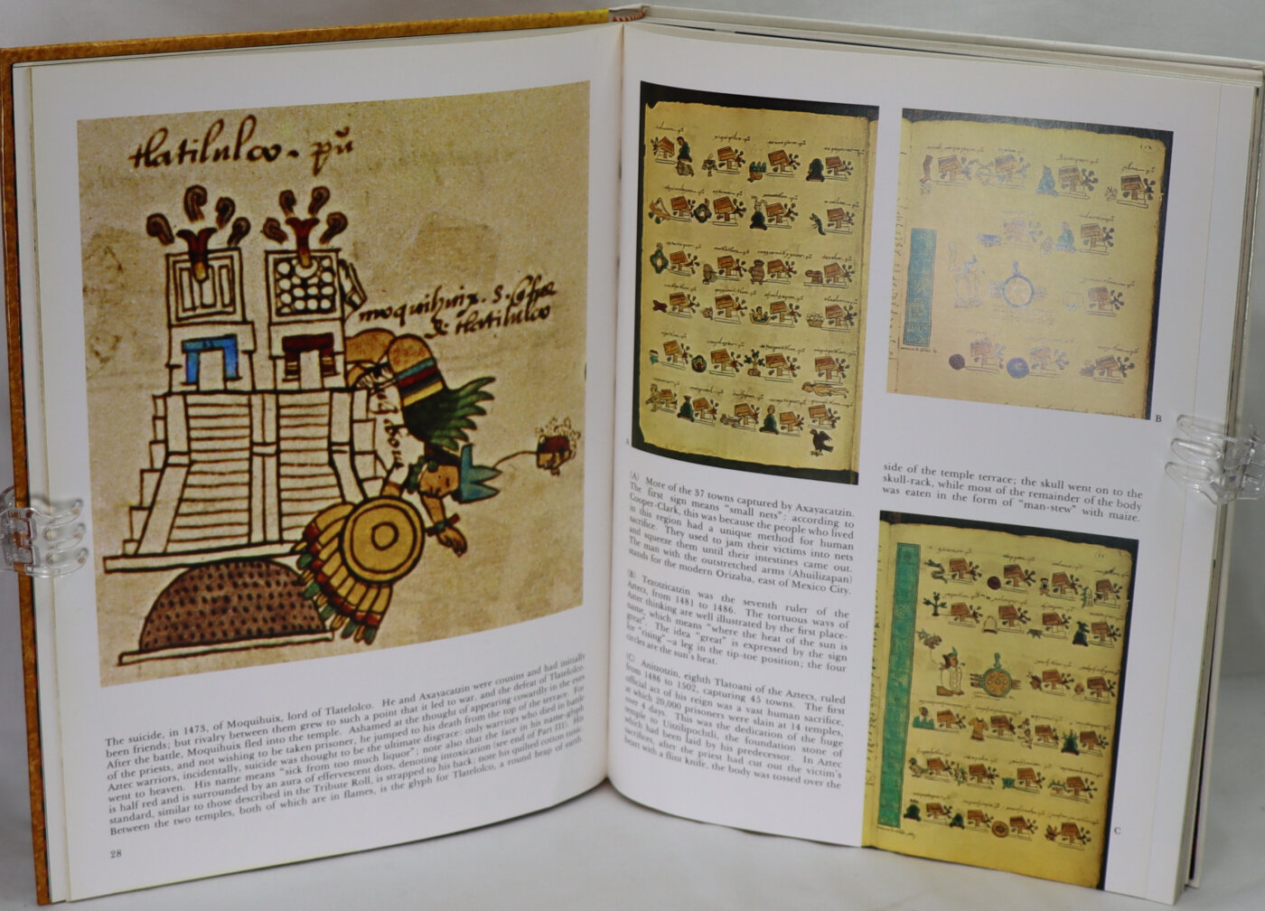 Codex Mendoza. Aztec Manuscript. - Frost Books and Artifacts Limited